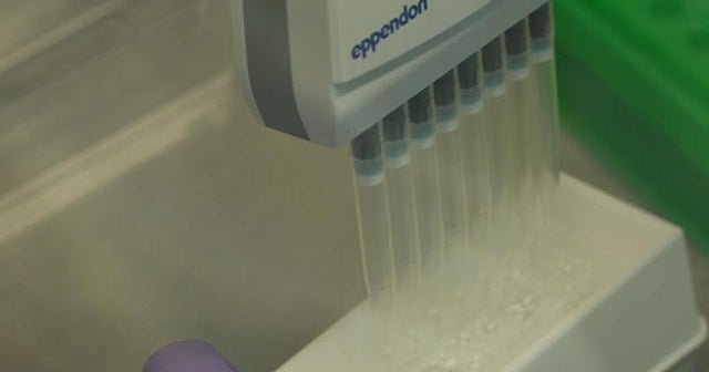 Inside the Russian biological weapons conspiracy theory - CBS News