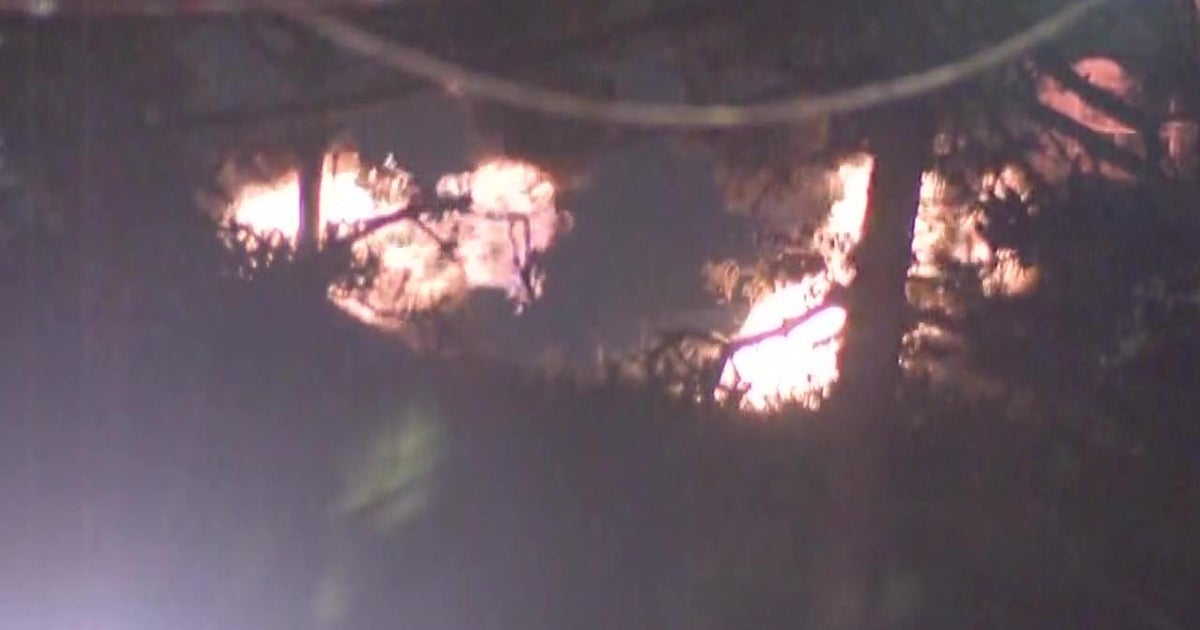 Fire at Bronx sewage treatment plant under investigation - CBS New York