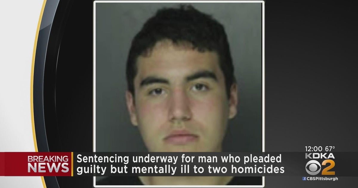 Adam Rosenberg being sentenced in 2019, 2020 killings following plea ...