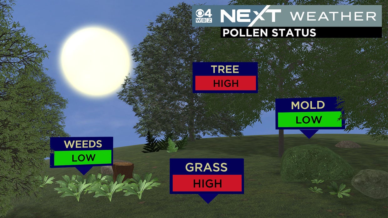 Pollen dust should start washing away with rain coming this week - CBS ...