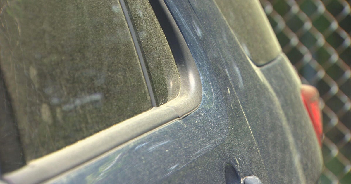 Pollen dust should start washing away with rain coming this week - CBS ...