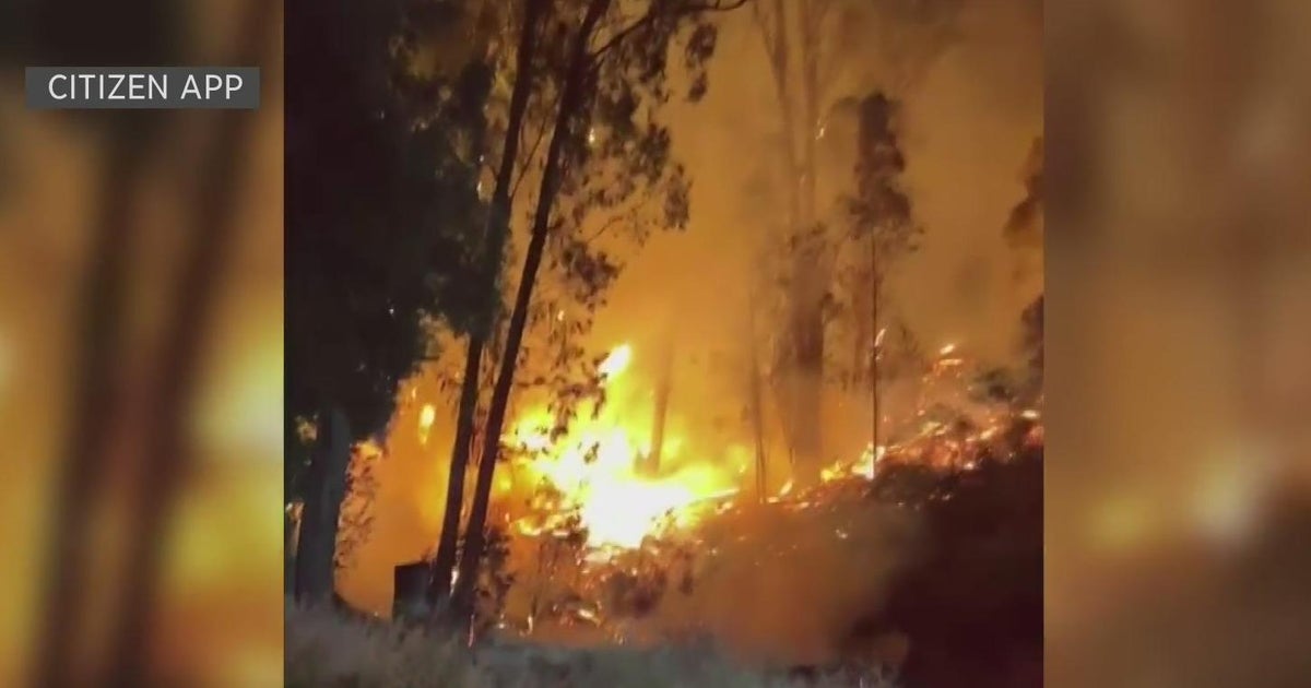 Update: Evacuation orders from San Rafael brush fire lifted - CBS San ...