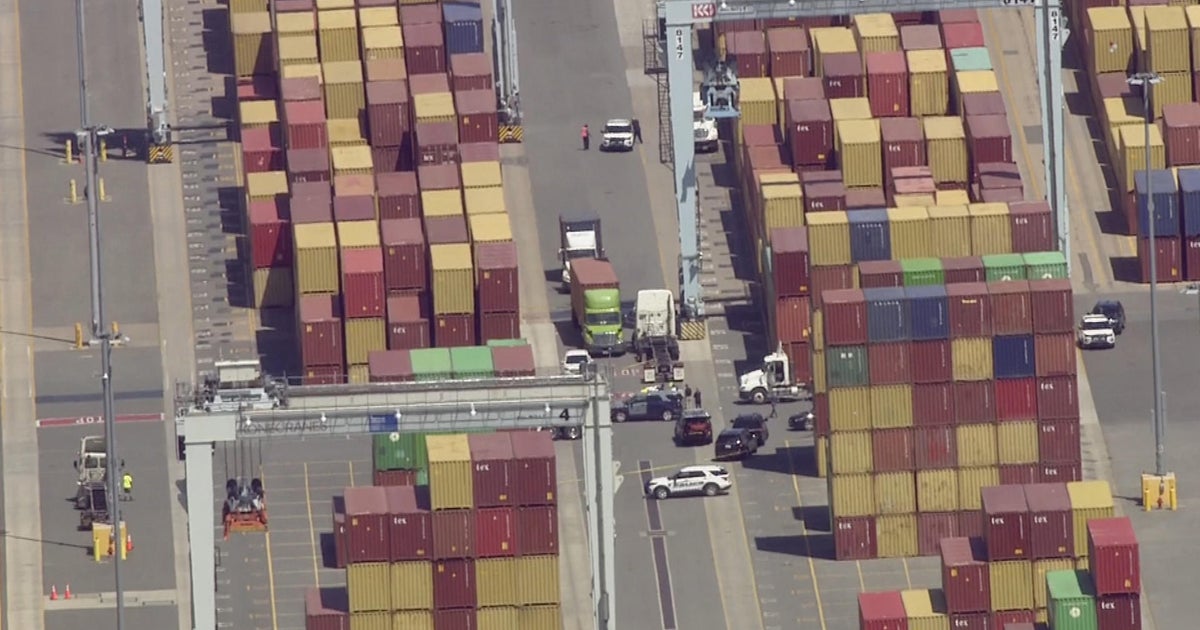Truck driver killed at Conley Terminal in South Boston - CBS Boston