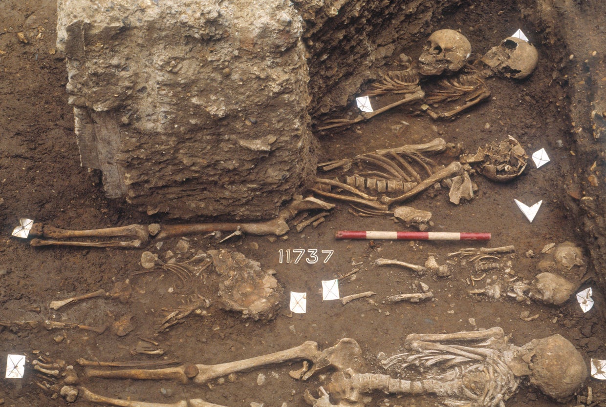 Black Death origin mystery solved after 675 years, researchers say ...