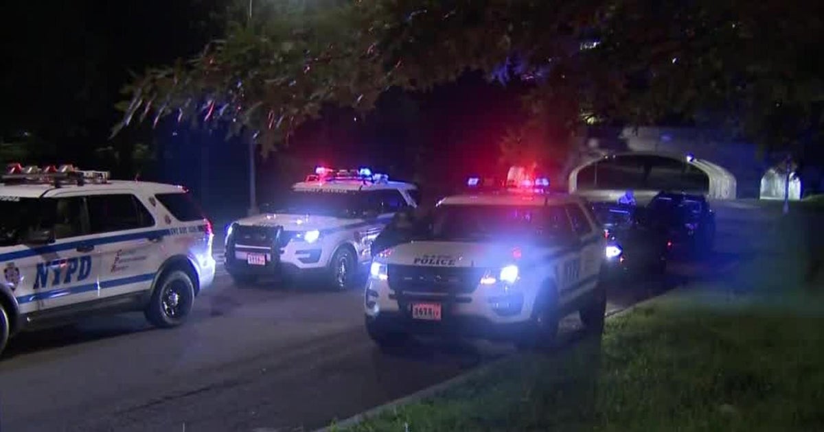 Woman out walking her dogs struck by hit-and-run driver in the Bronx ...