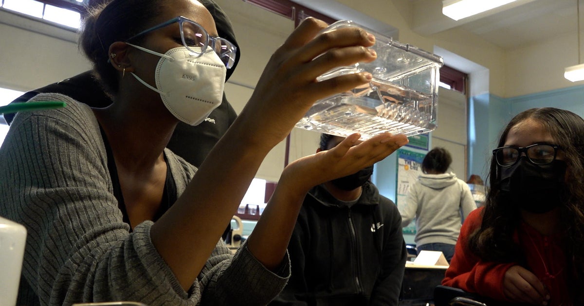 Mount Sinai brings fish experiment to East Harlem students - CBS New York