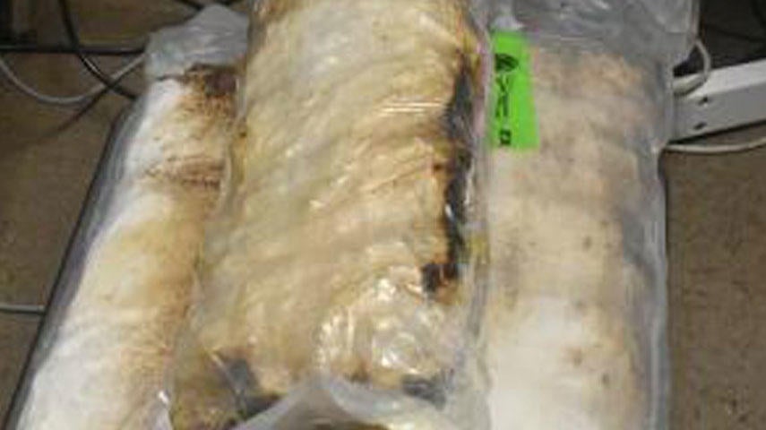 Half a million dollars in methamphetamine seized at Texas-Mexico border ...