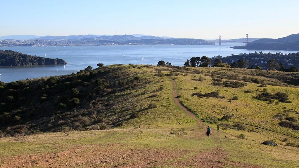 Marin Open Space District considers plan to preserve 110 acres on ...