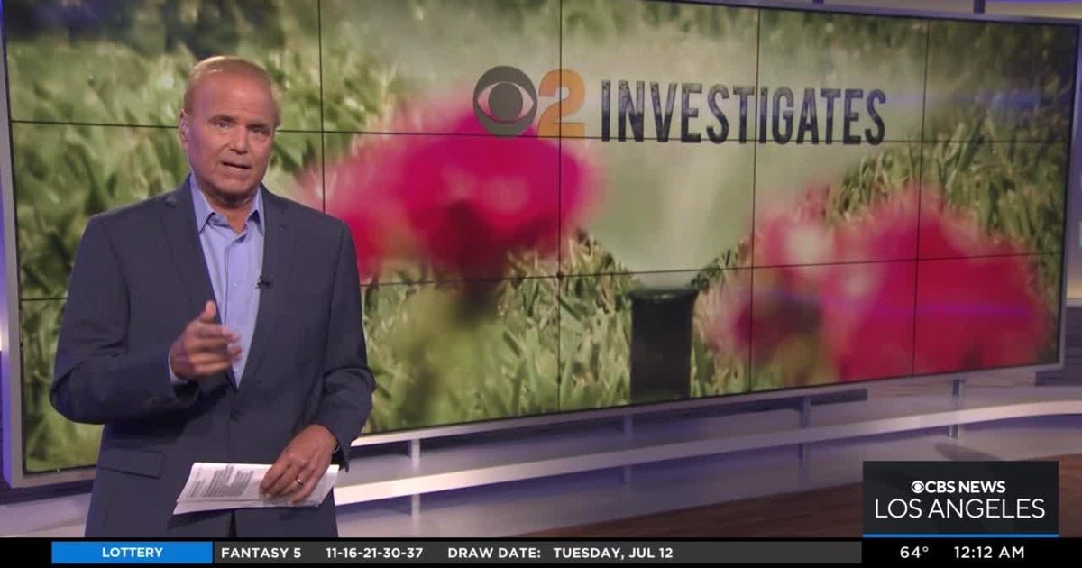 CBS2 Investigates "Extra": Celebrity Water Usage - CBS Los Angeles