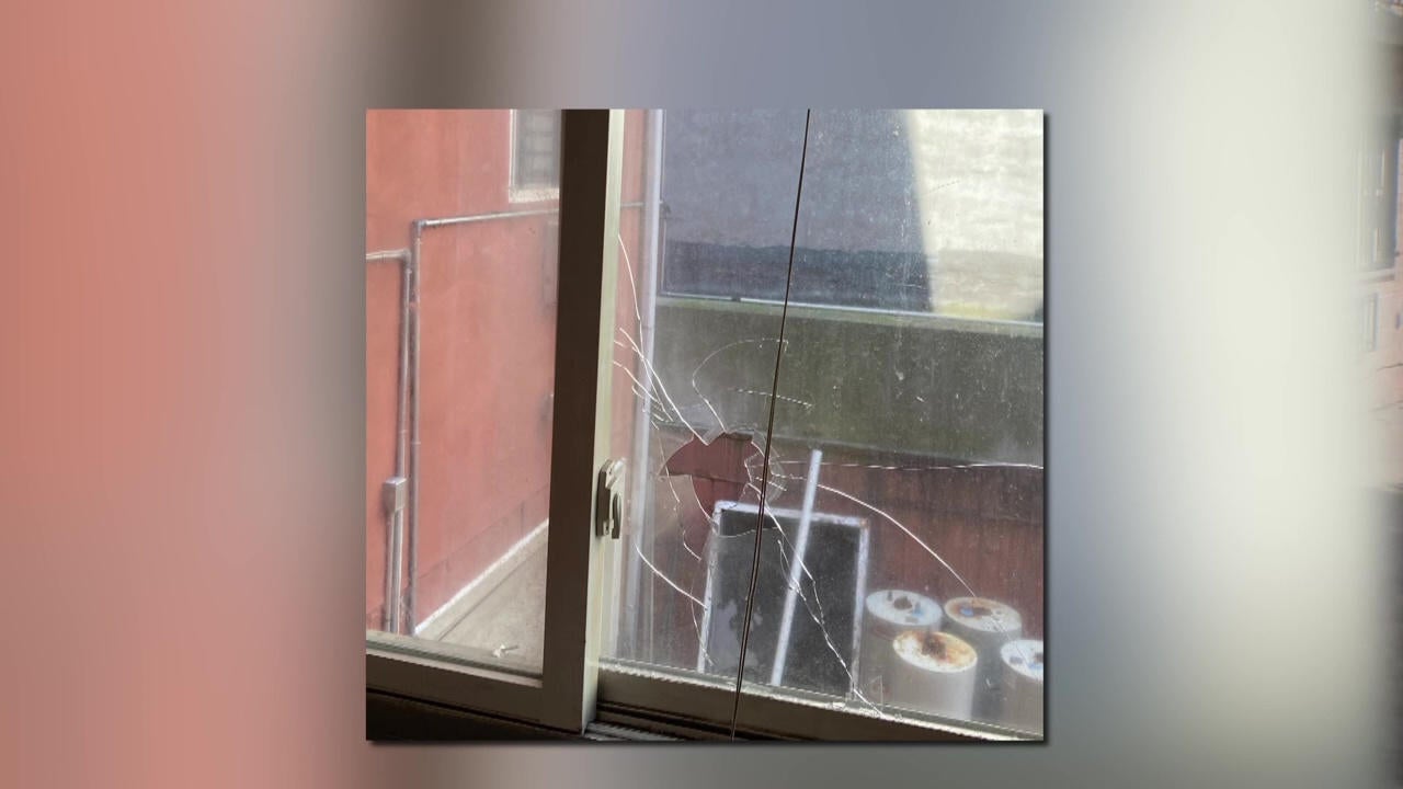 Stories About Brooklyn - CBS New York