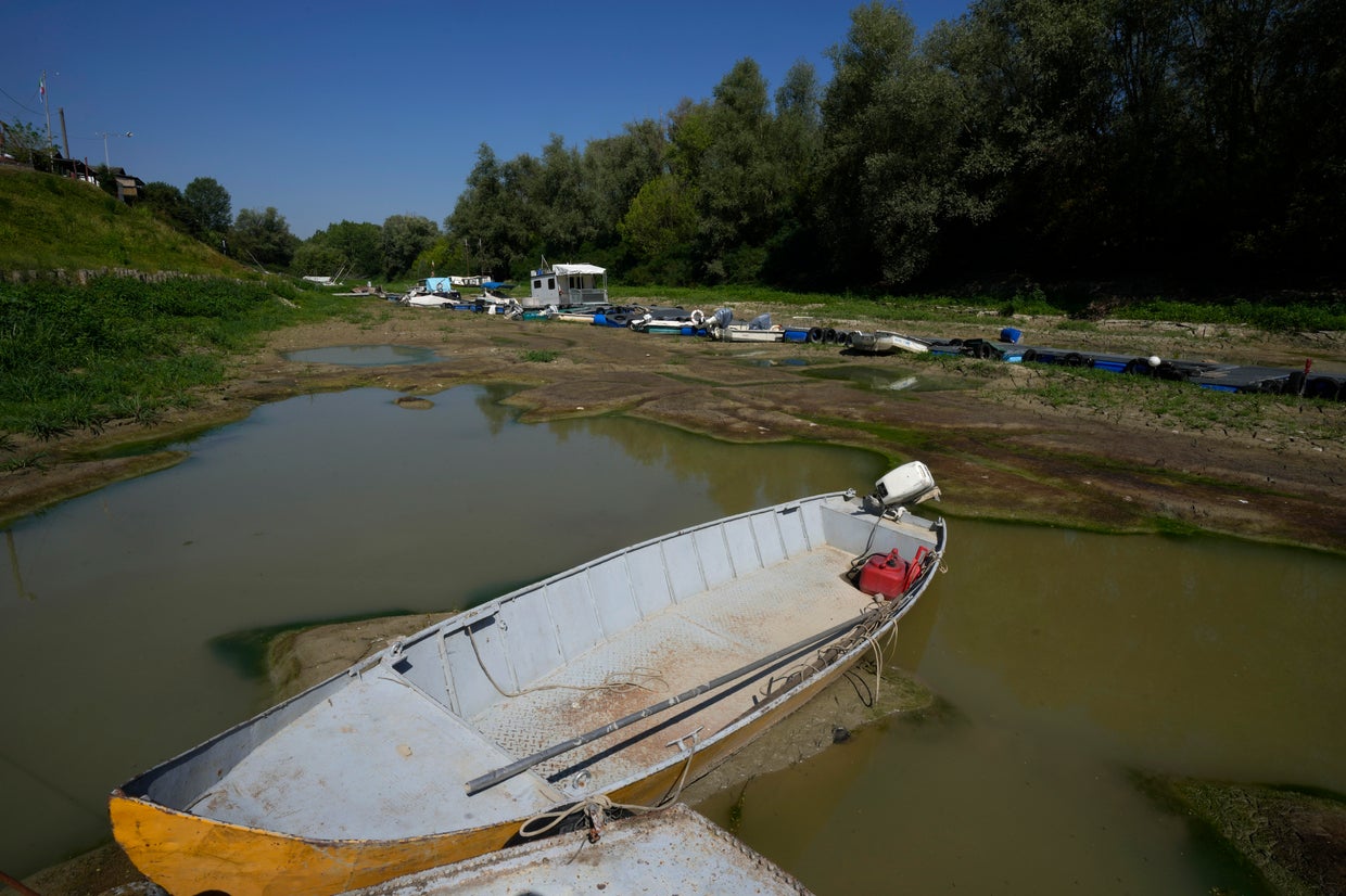 Olive oil, risotto rice and pasta under threat as northern Italy ...