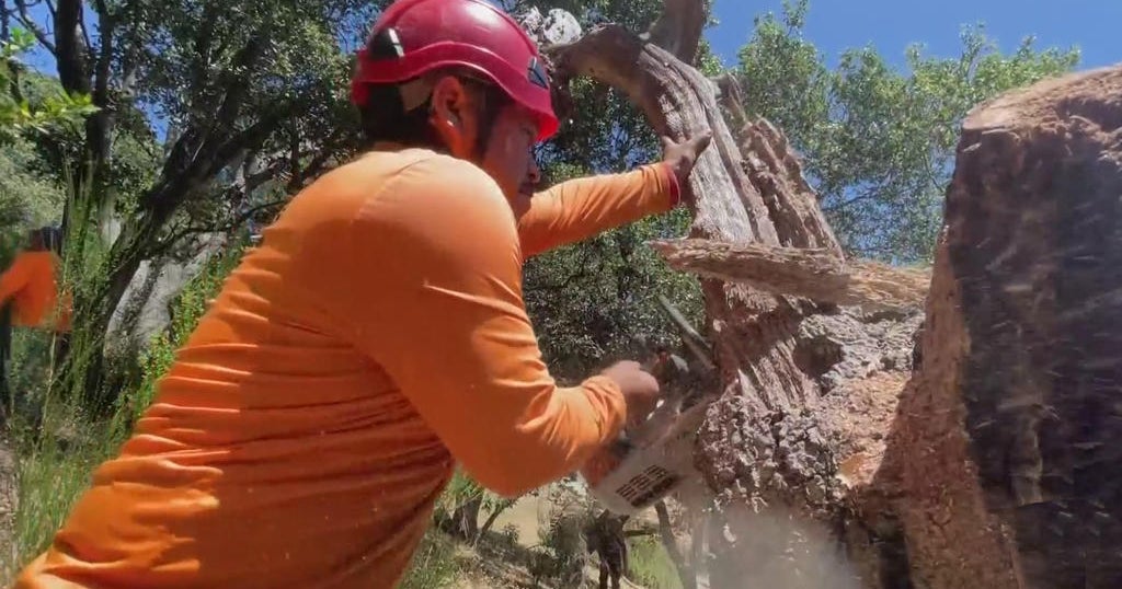 North Bay fire abatement crews busy as work stacks up - CBS San Francisco