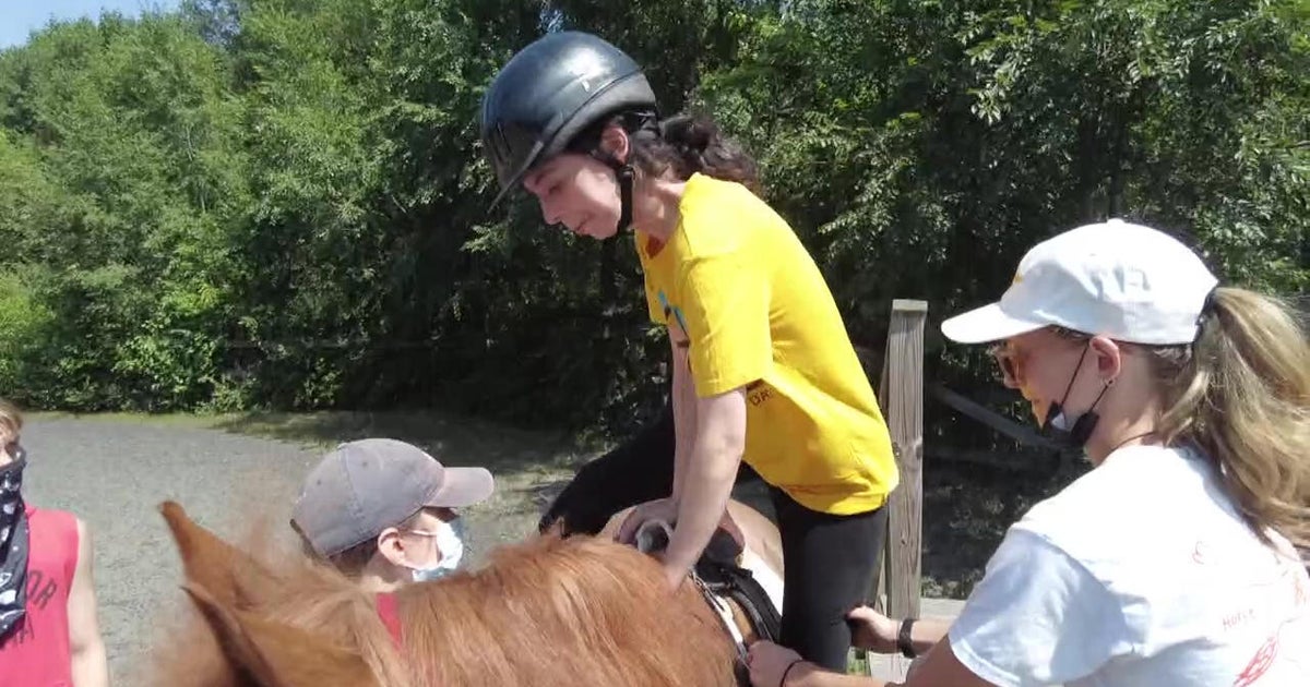 Nonprofit GallopNYC uses horses to provide therapy to people with ...