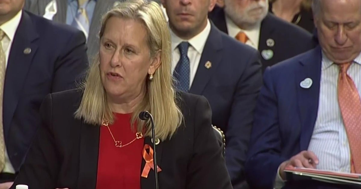 'This is the norm in our country': Highland Park Mayor speaks to Senate ...