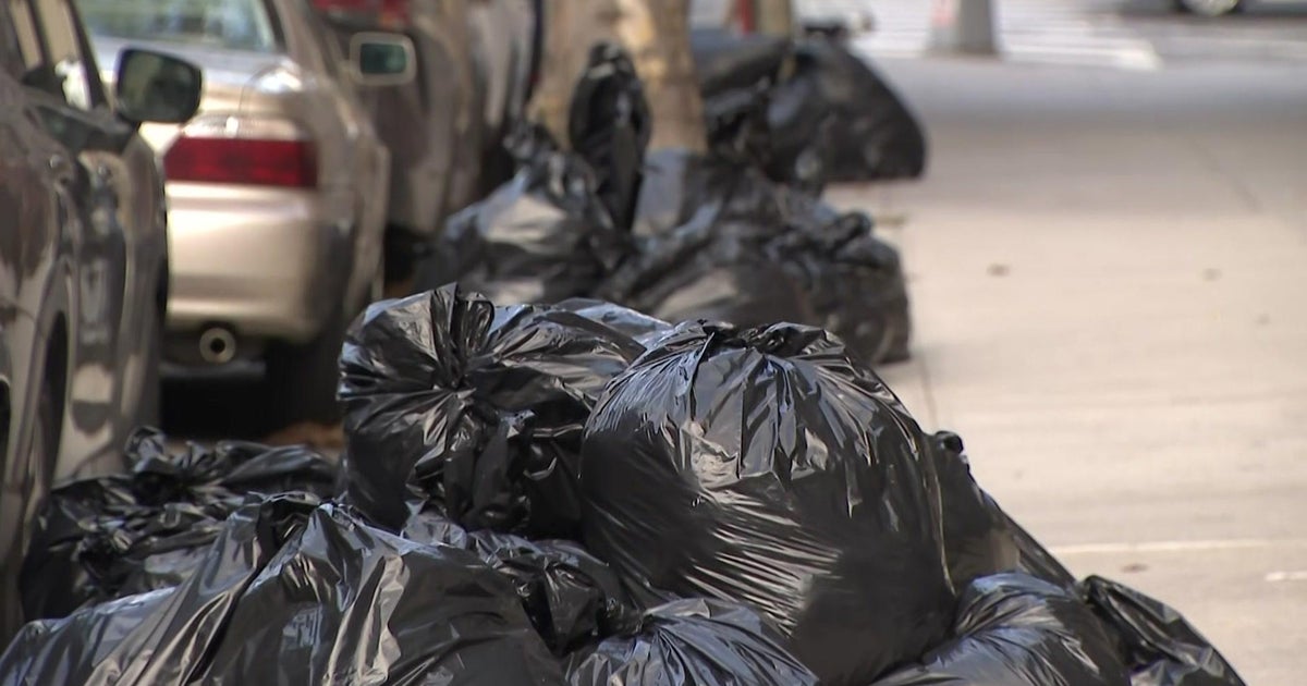 NYC sanitation department looking into plan to curb garbage, rat ...
