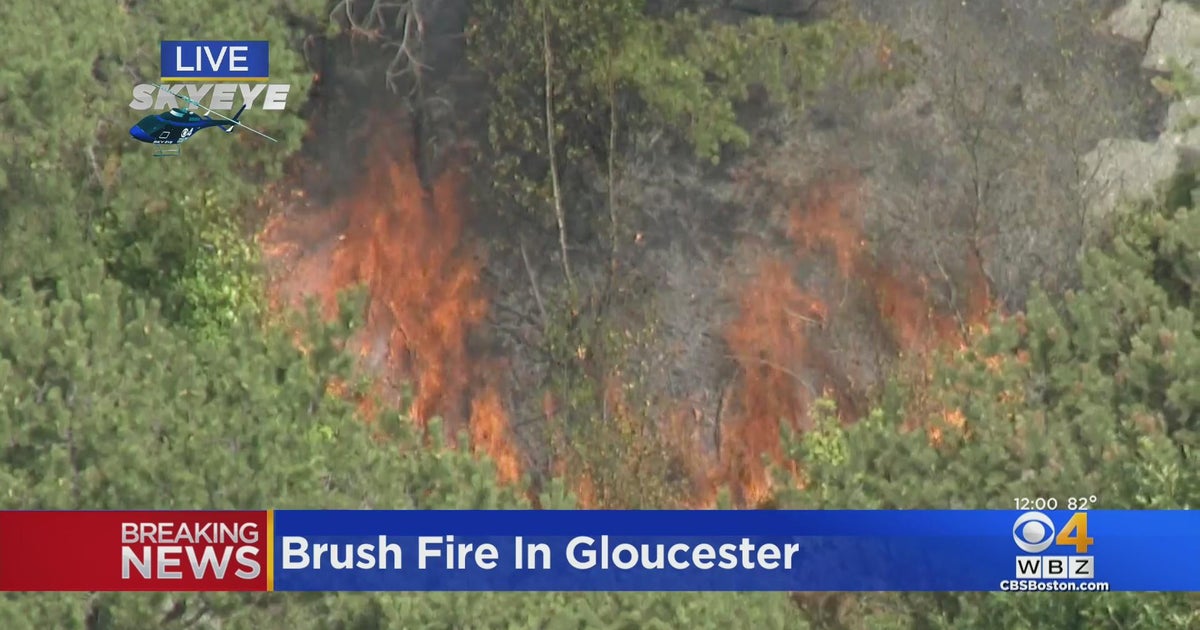 Large brush fire burns in Gloucester - CBS Boston