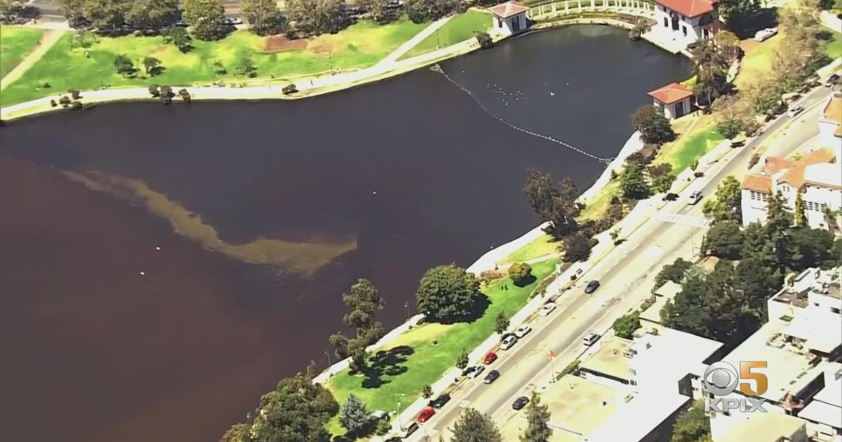 People walking around Lake Merritt react to algae bloom, murky 'snot ...
