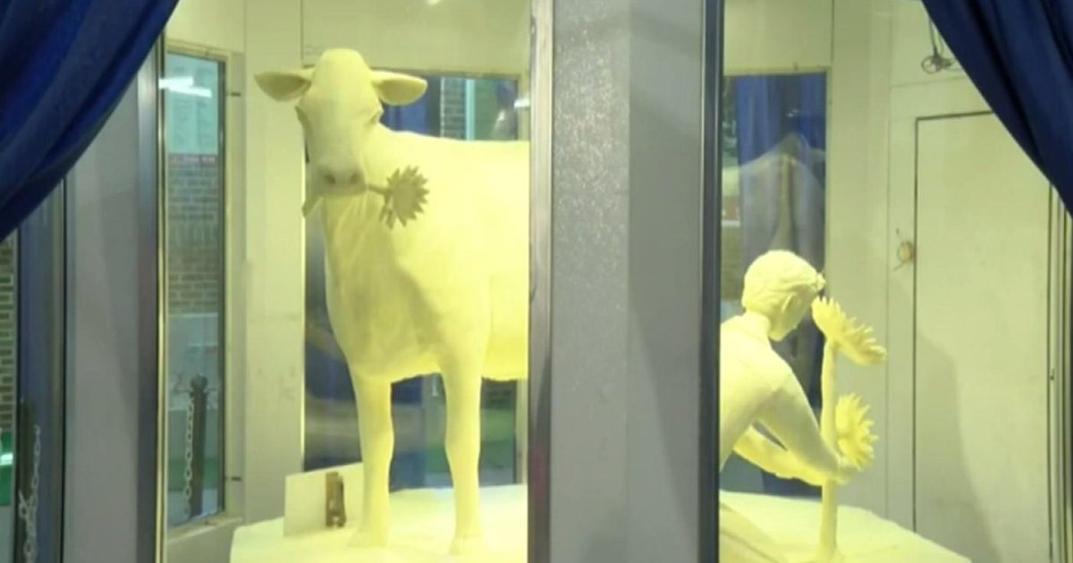 Illinois State Fair underway in Springfield - CBS Chicago