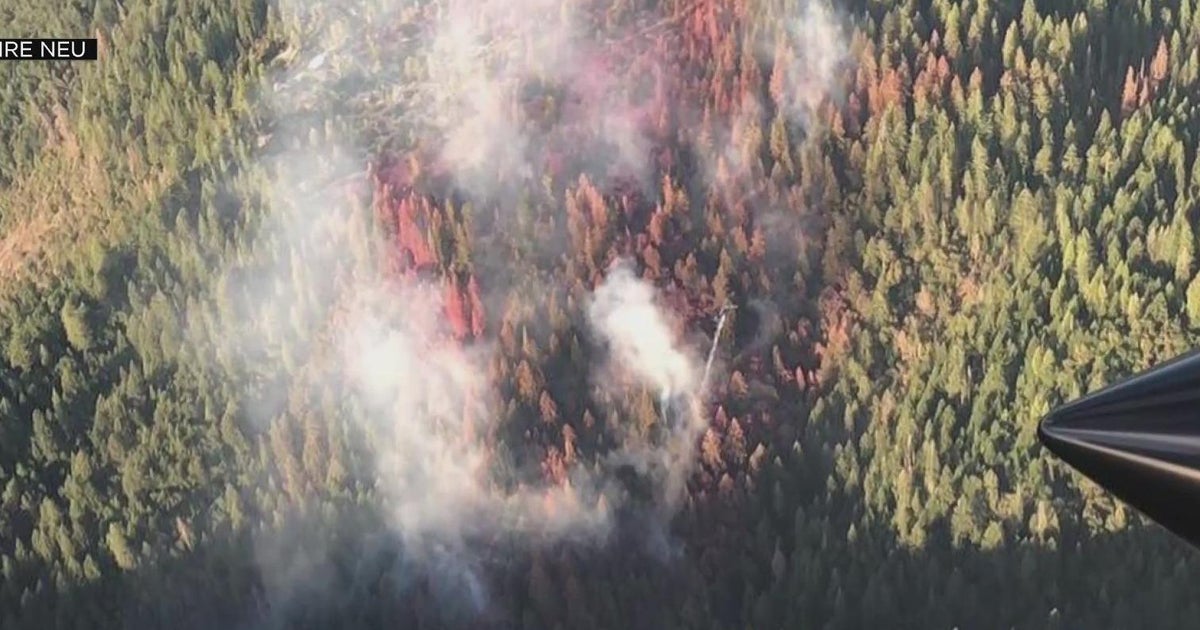 Plum Fire in the Tahoe National Forest prompts large response - CBS ...