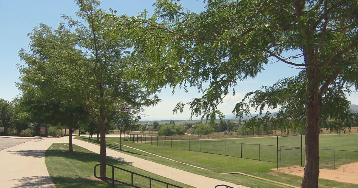 Lakewood considers options as urban tree canopy falls short - CBS Colorado