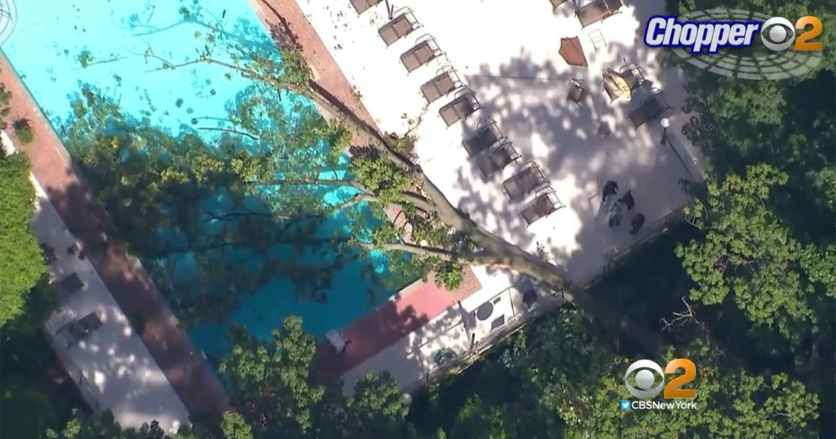 Woman killed, another injured after tree falls into pool in the Bronx ...