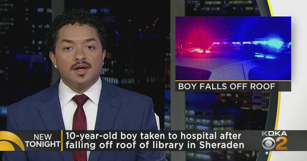 10-year-old boy falls off roof of Sheraden branch of Carnegie Library ...