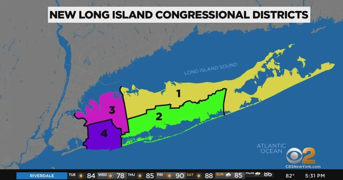 Long Island congressional primaries could have national implications ...
