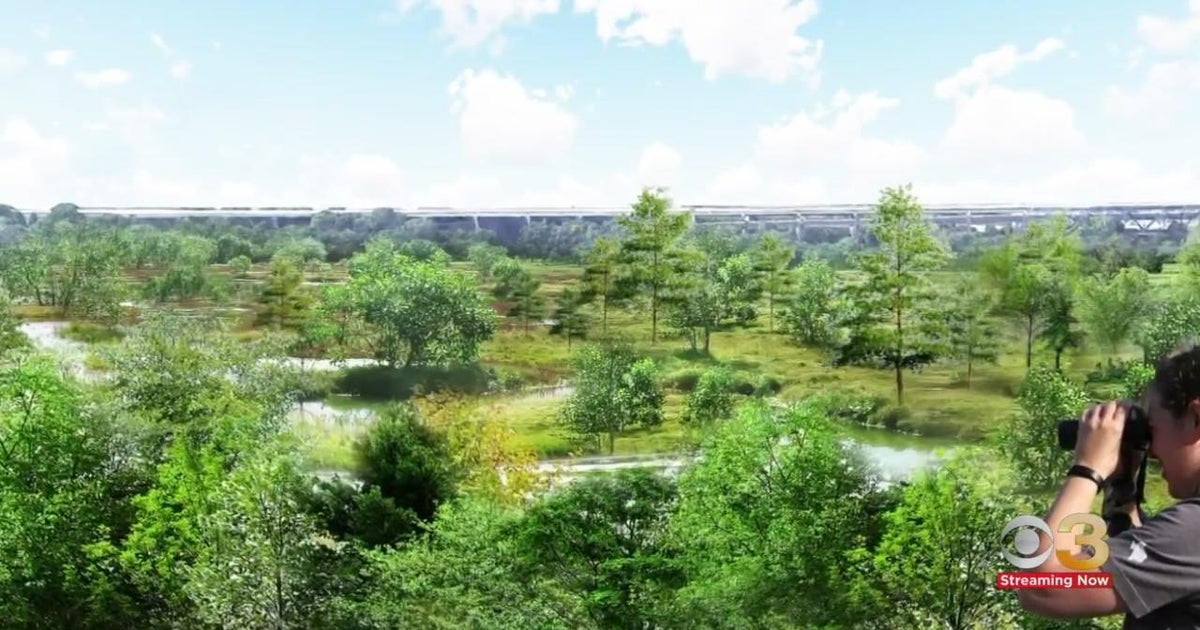 $30 million project underway to create new 33-acre wetlands at FDR Park ...