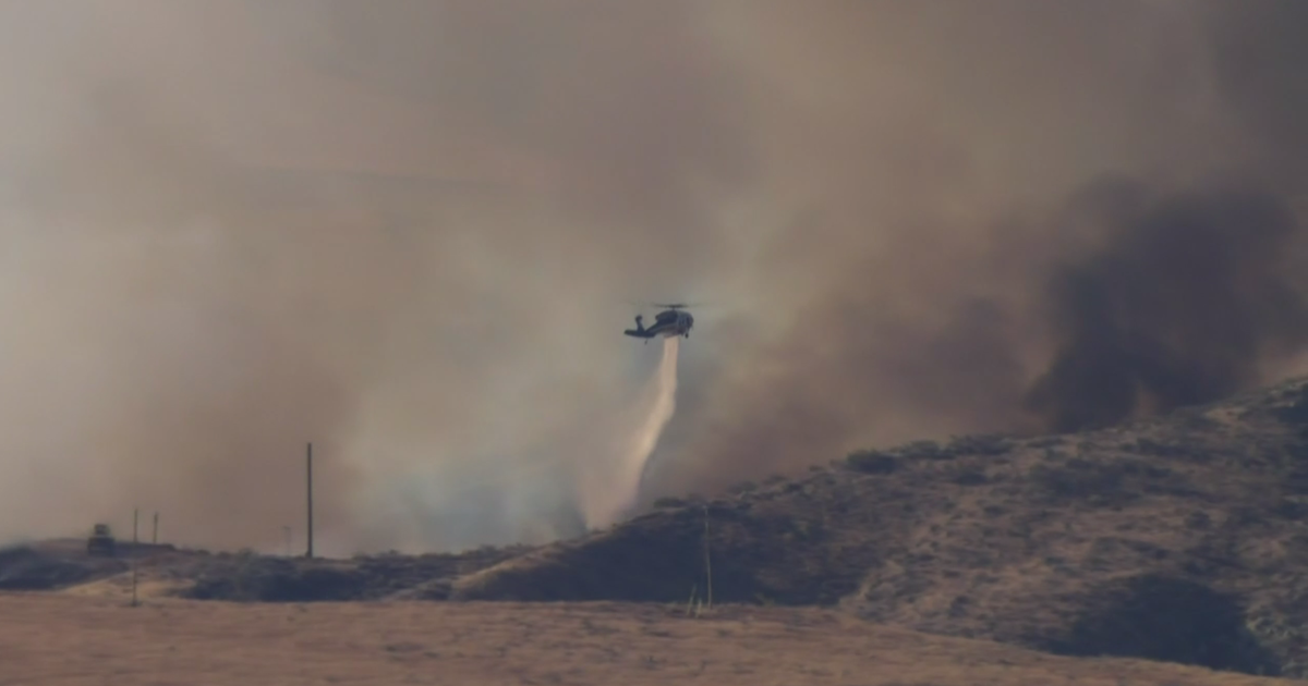 Quail Fire burns 50 acres near a Castaic animal shelter - CBS Los Angeles