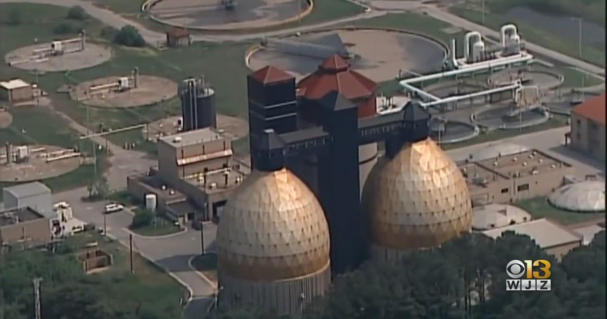 Blue Water Baltimore is training people to test the water near a ...