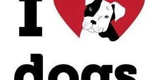 Warren animal shelter seeking donations after rescuing badly injured ...