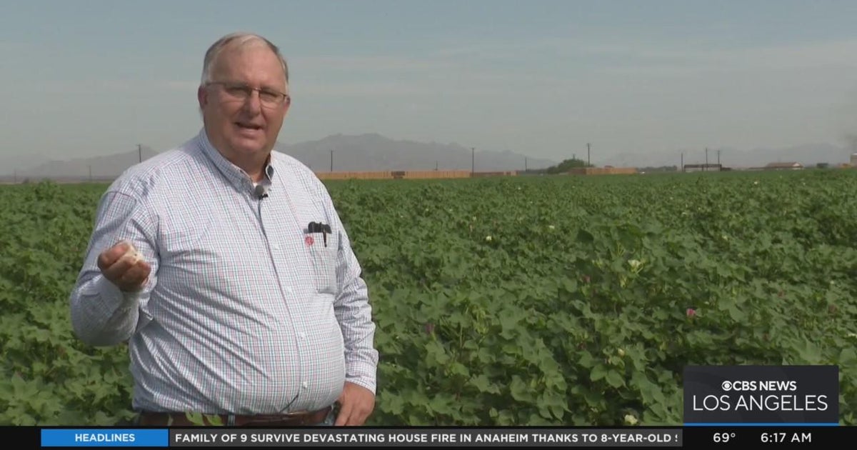 STEAM Series: Meet Jack Seiler, cotton farmer - CBS Los Angeles