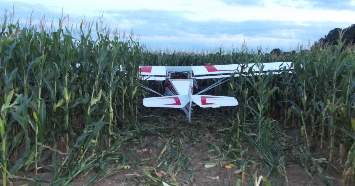 Cessna pilot makes emergency landing in Isanti County cornfield - CBS ...