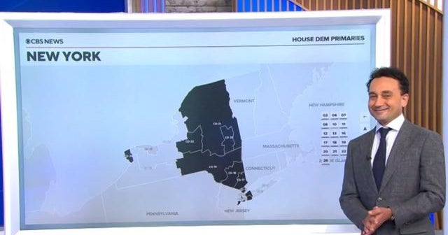 Breaking down the results of New York and Florida's primary elections ...