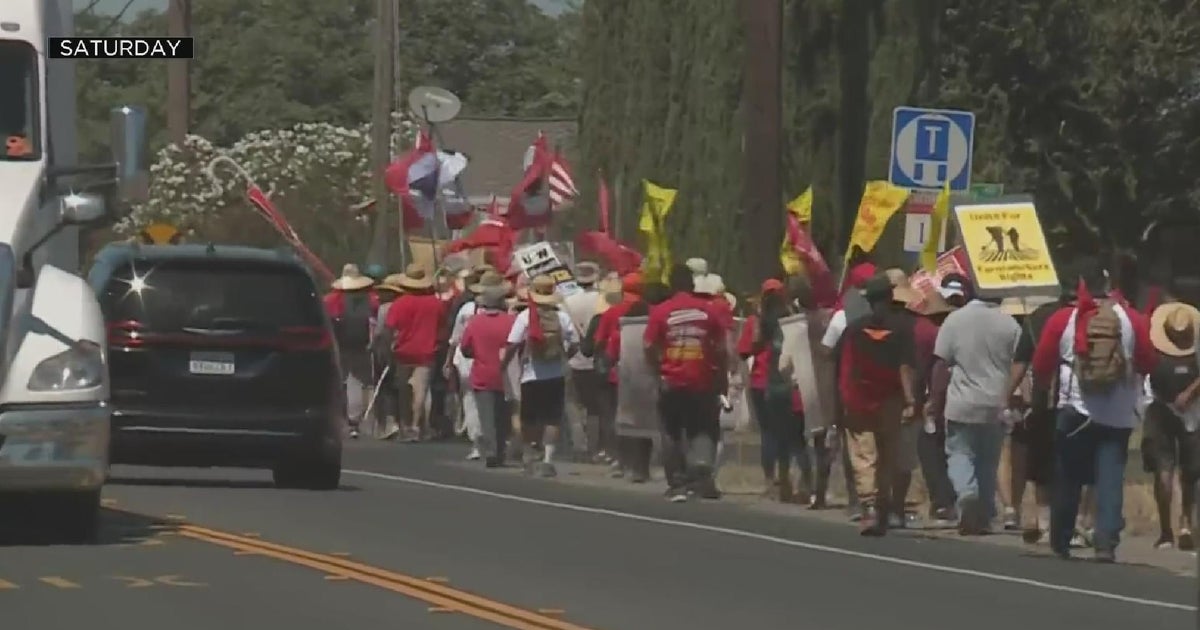 Farm workers march from Delano to Sacramento in support of UFW bill ...