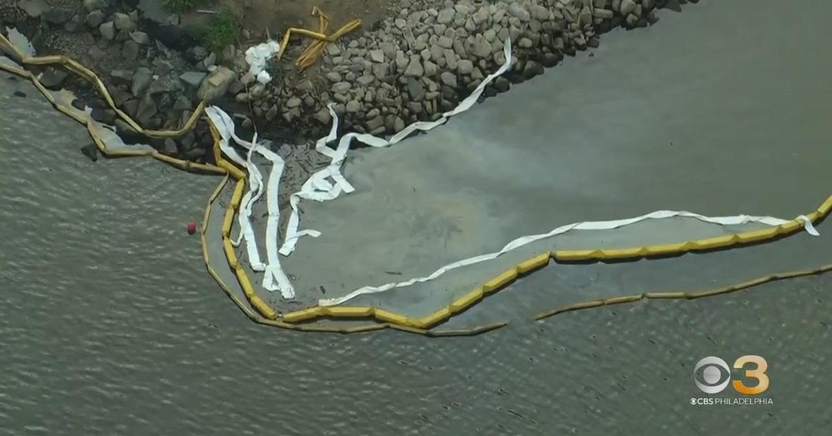 Oil sheen in Delaware River may come from sewer, officials say - CBS ...