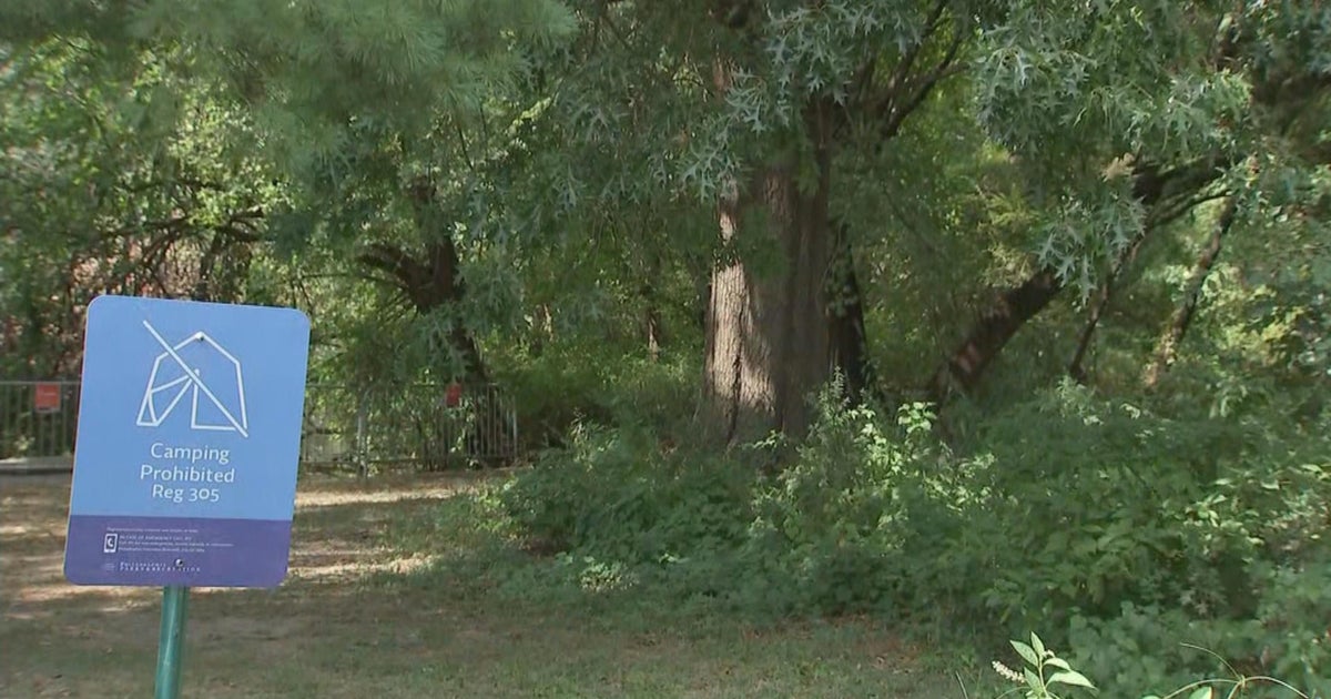 Project to create new 33-acre wetlands at FDR Park meeting community ...