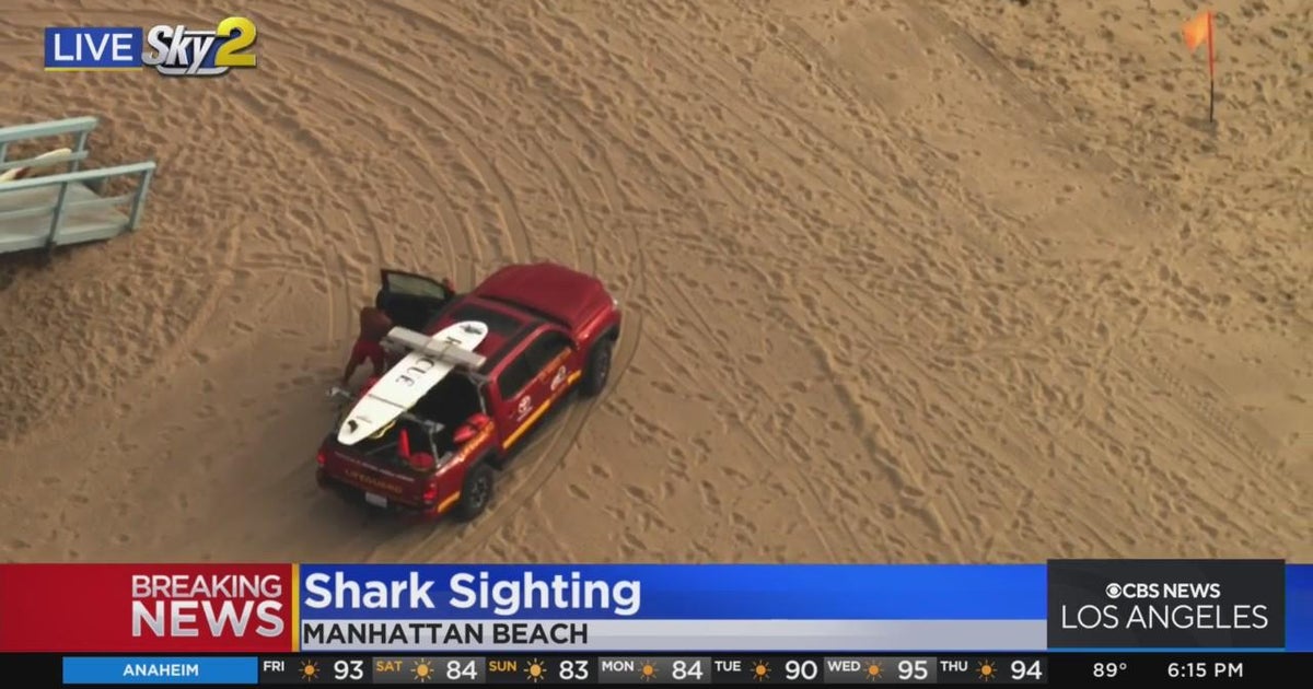 Shark sighting in Manhattan Beach, near Rosecrans lifeguard tower - CBS ...