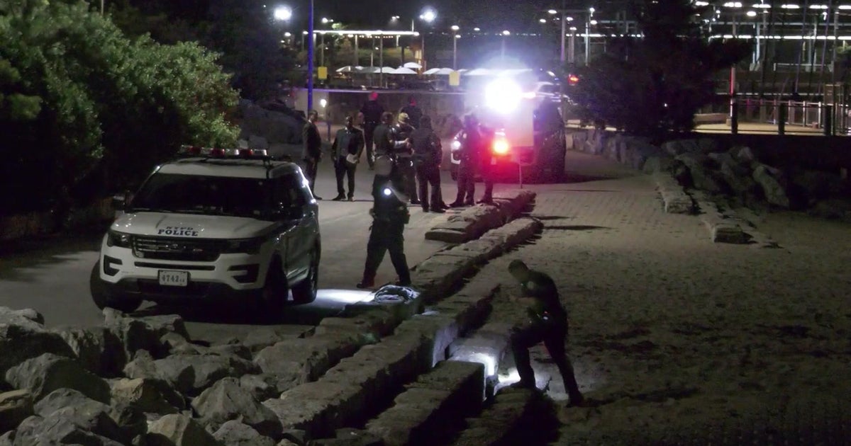 Innocent bystander struck by stray bullet at Brooklyn Bridge Park - CBS New York