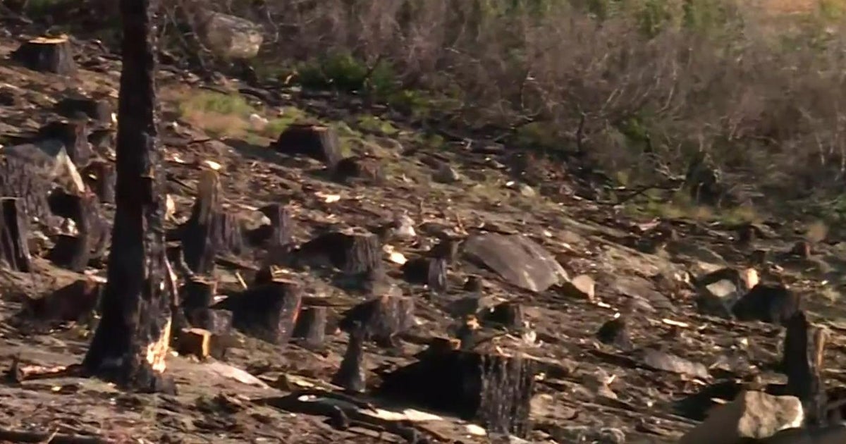 Despite work left to be done after Caldor Fire, Sierra-At-Tahoe to open ...