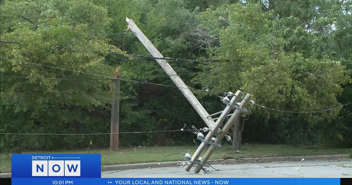 DTE Energy reports more than 200,000 outages, strong winds knocked out ...