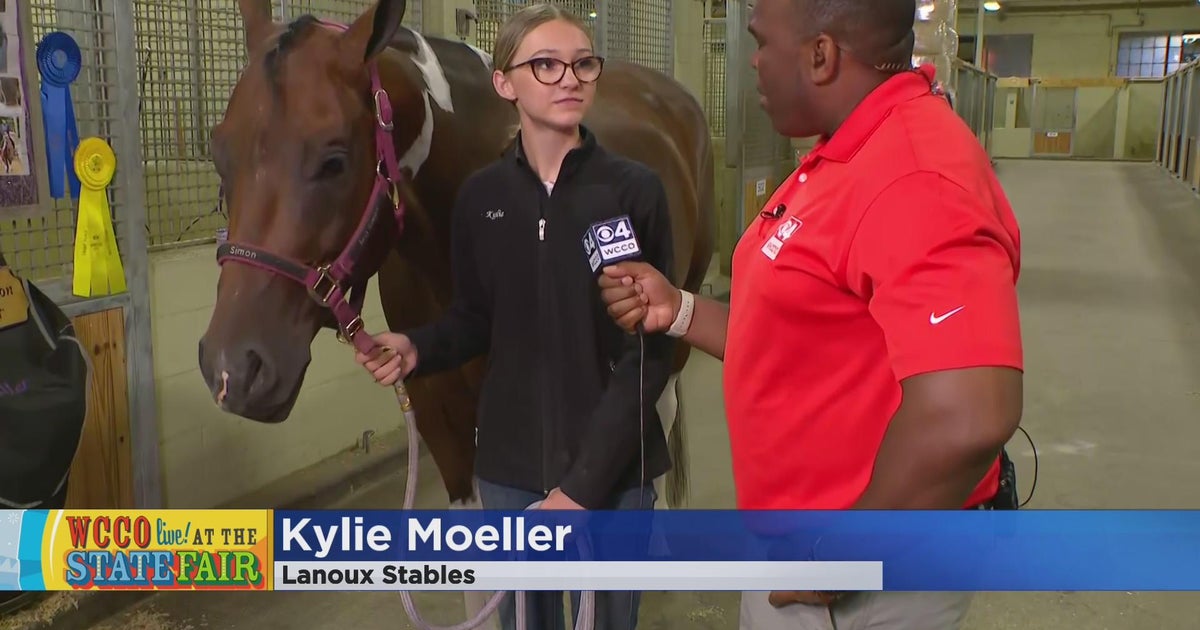 State Fair animals: Checking out the horse stables - CBS Minnesota