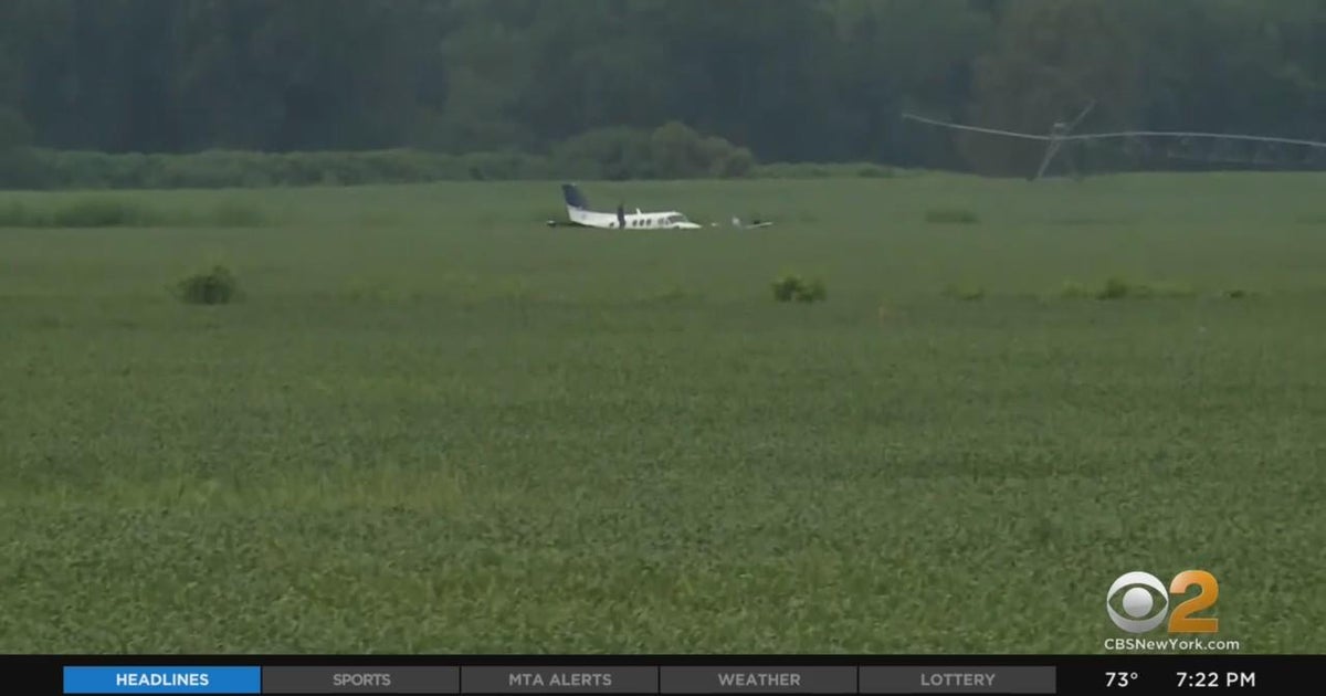 Man Taken Into Custody After Stealing Small Plane Threatening Crash