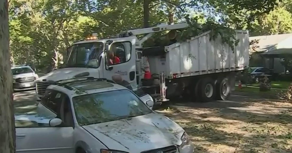 Large tree limb falls on car in Sacramento - CBS Sacramento