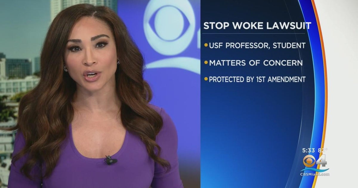 Stop Woke Act Challenge - CBS Miami