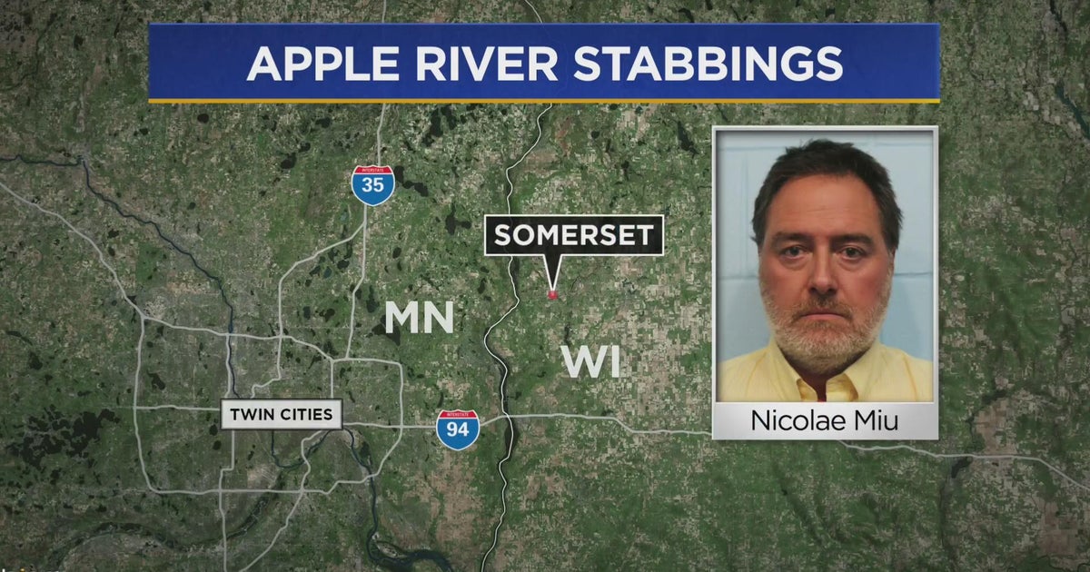 Nicolae Miu pleads not guilty in Apple River stabbing case - CBS Minnesota