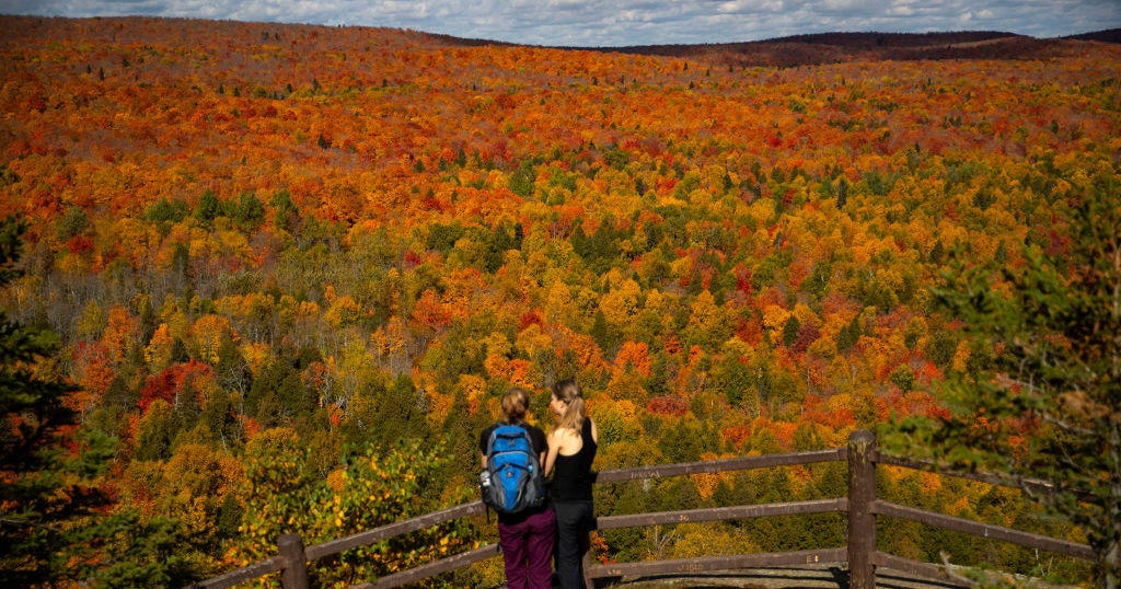 Is climate change changing fall colors? - CBS Minnesota