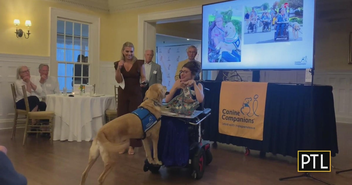 PTL Pupdate: Canines and Cocktails event raises awareness and funds for ...