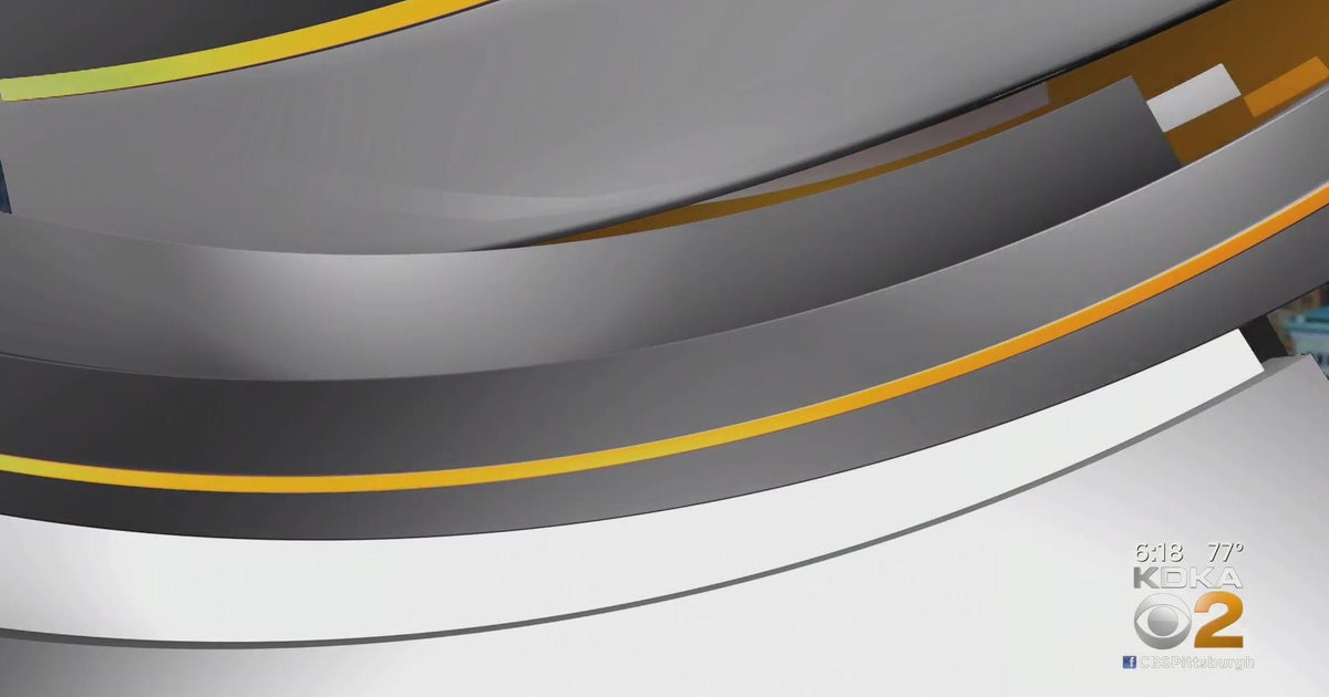 State senator offers amendment to license plate obstruction bill - CBS ...