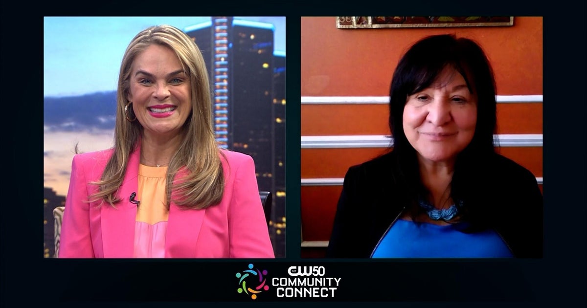 Community Connect Segments - Detroit Hispanic Development Corporation ...